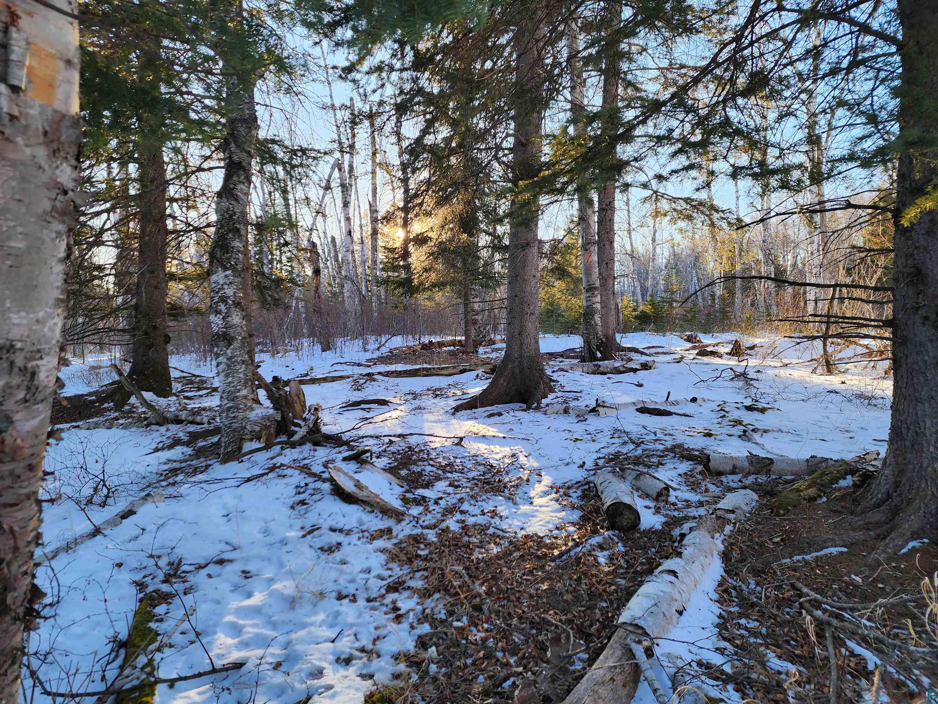 XX-2 Hoaglund Dr, Tofte, MN, 55615 | MLS: 6118070 | Edina Realty