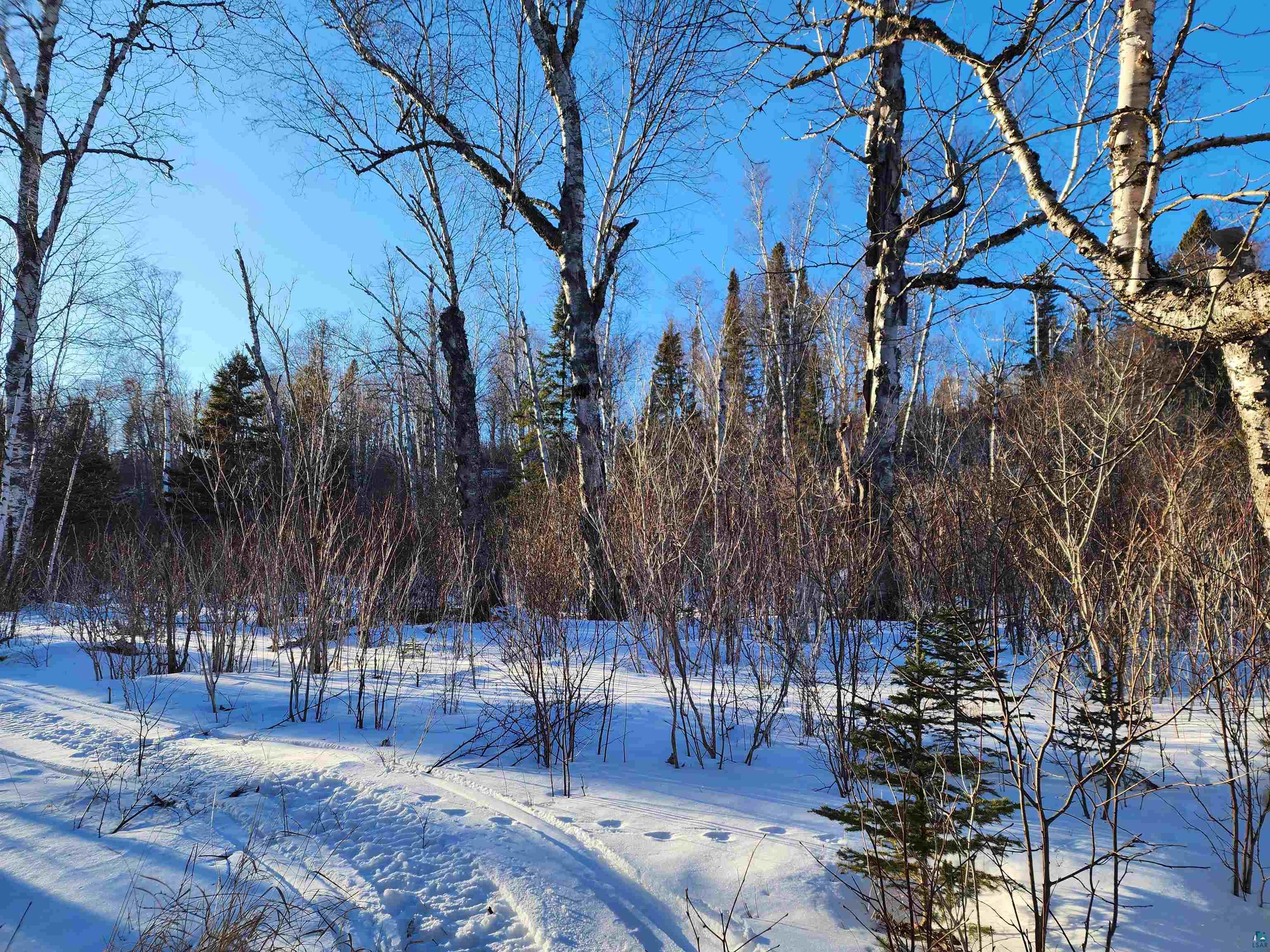 XX-2 Hoaglund Dr, Tofte, MN, 55615 | MLS: 6118070 | Edina Realty