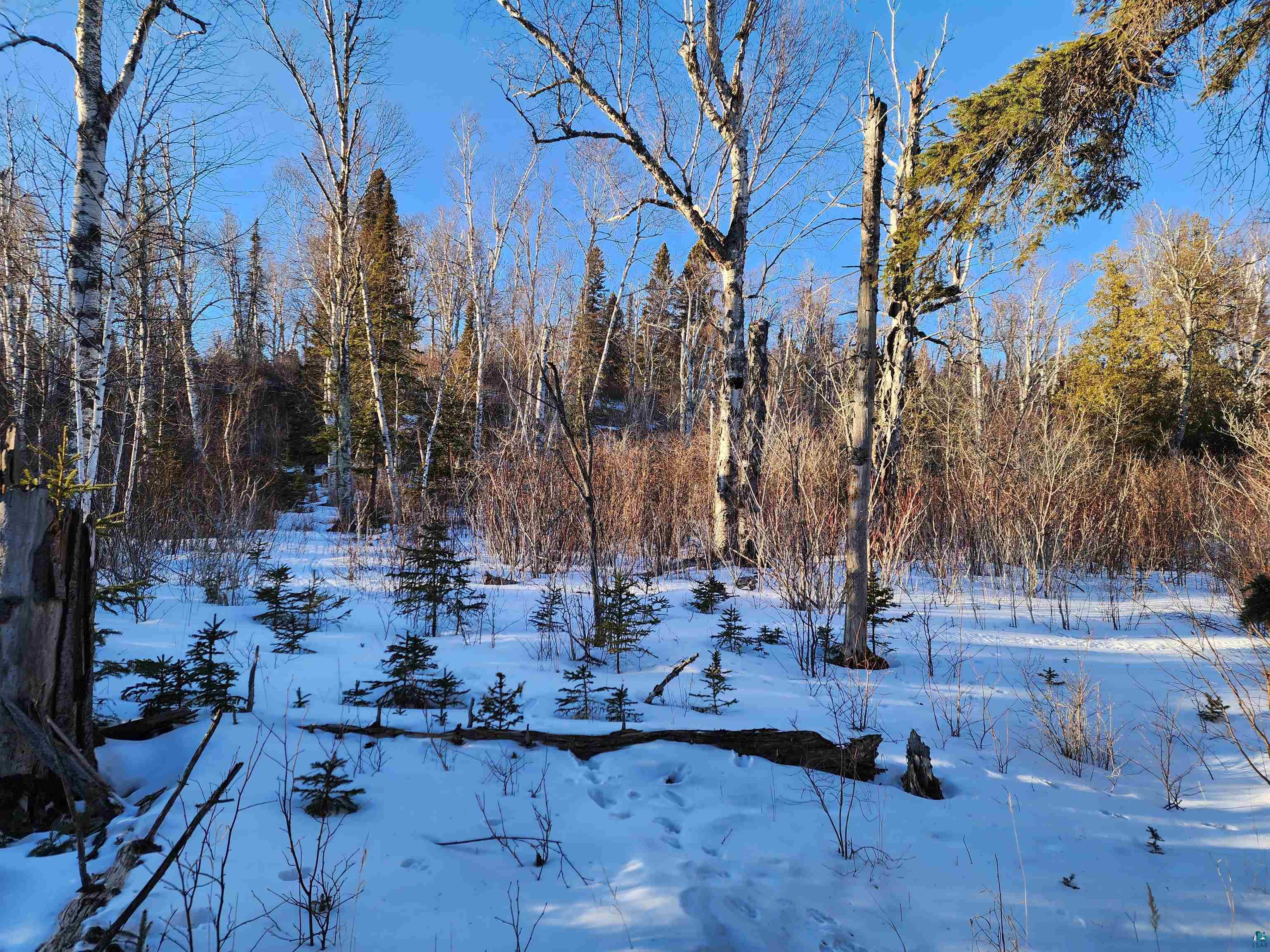 XX-2 Hoaglund Dr, Tofte, MN, 55615 | MLS: 6118070 | Edina Realty