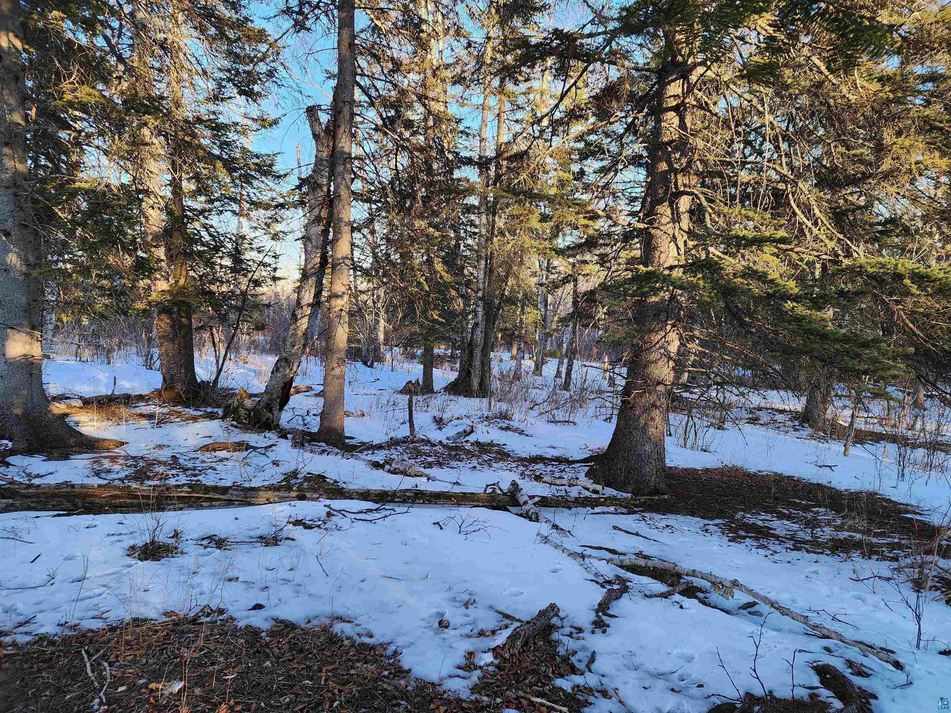 XX-2 Hoaglund Dr, Tofte, MN, 55615 | MLS: 6118070 | Edina Realty