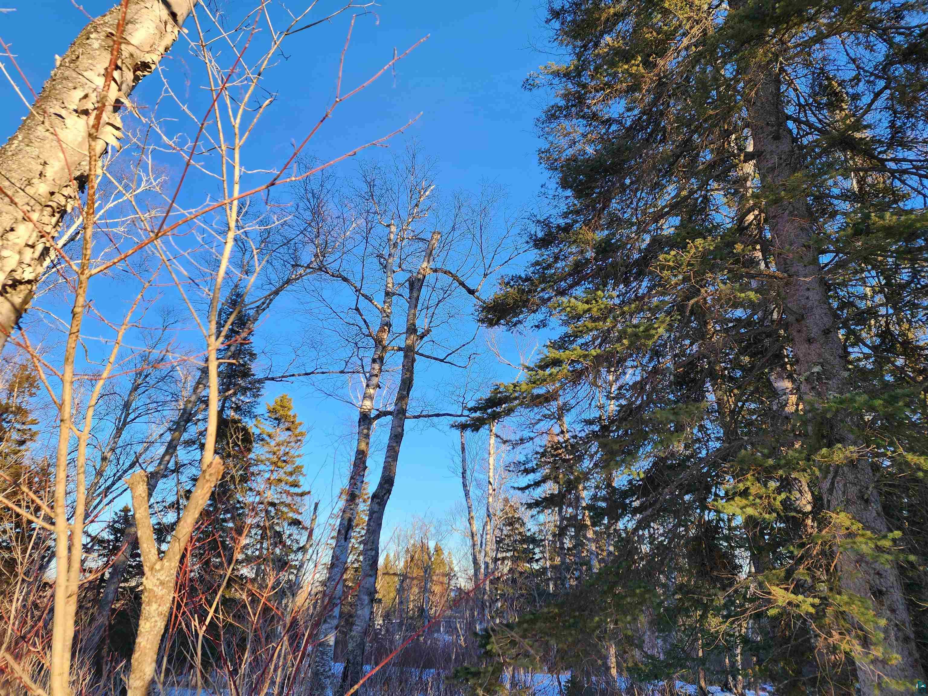 XX-2 Hoaglund Dr, Tofte, MN, 55615 | MLS: 6118070 | Edina Realty