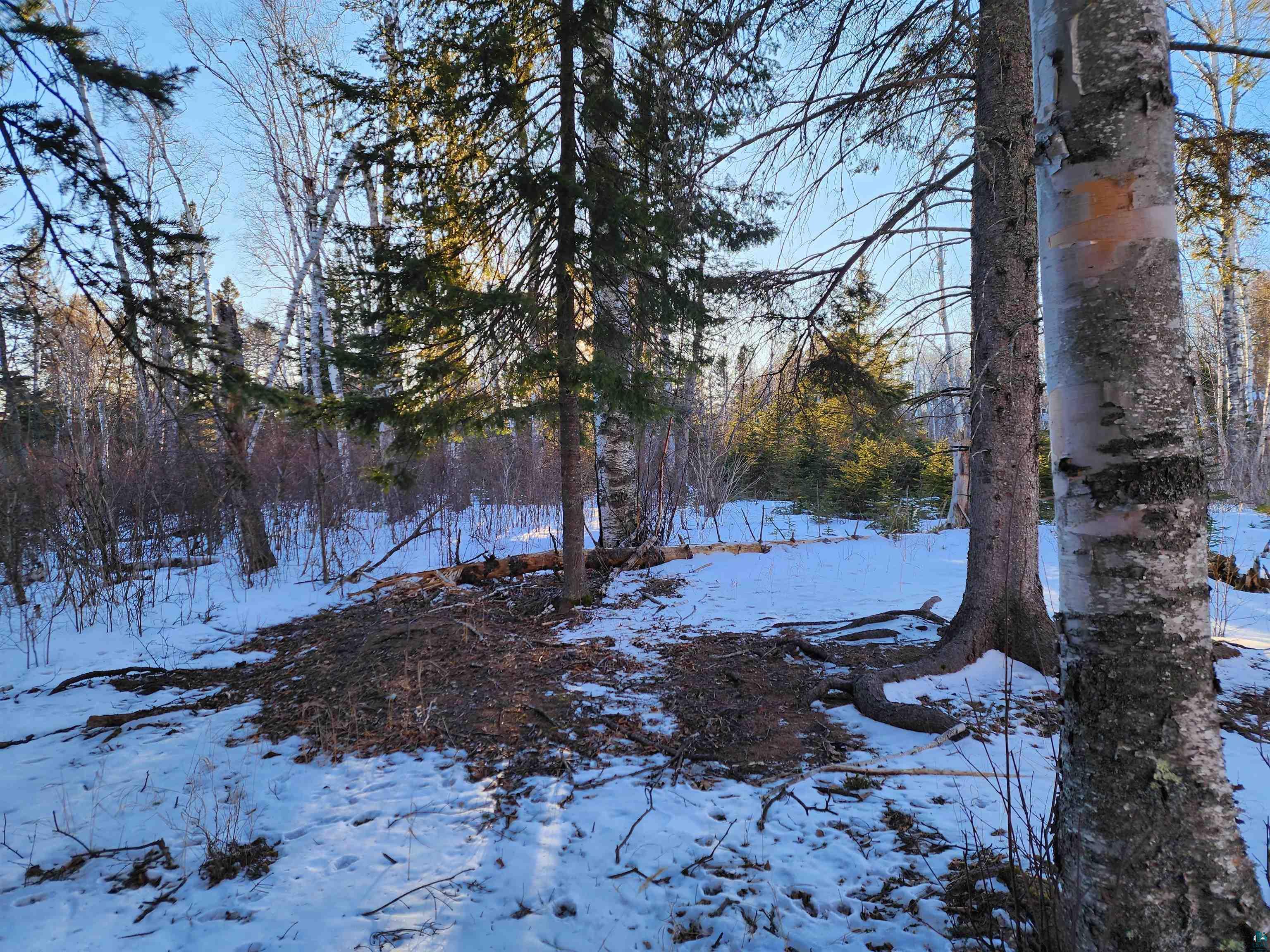 XX-2 Hoaglund Dr, Tofte, MN, 55615 | MLS: 6118070 | Edina Realty