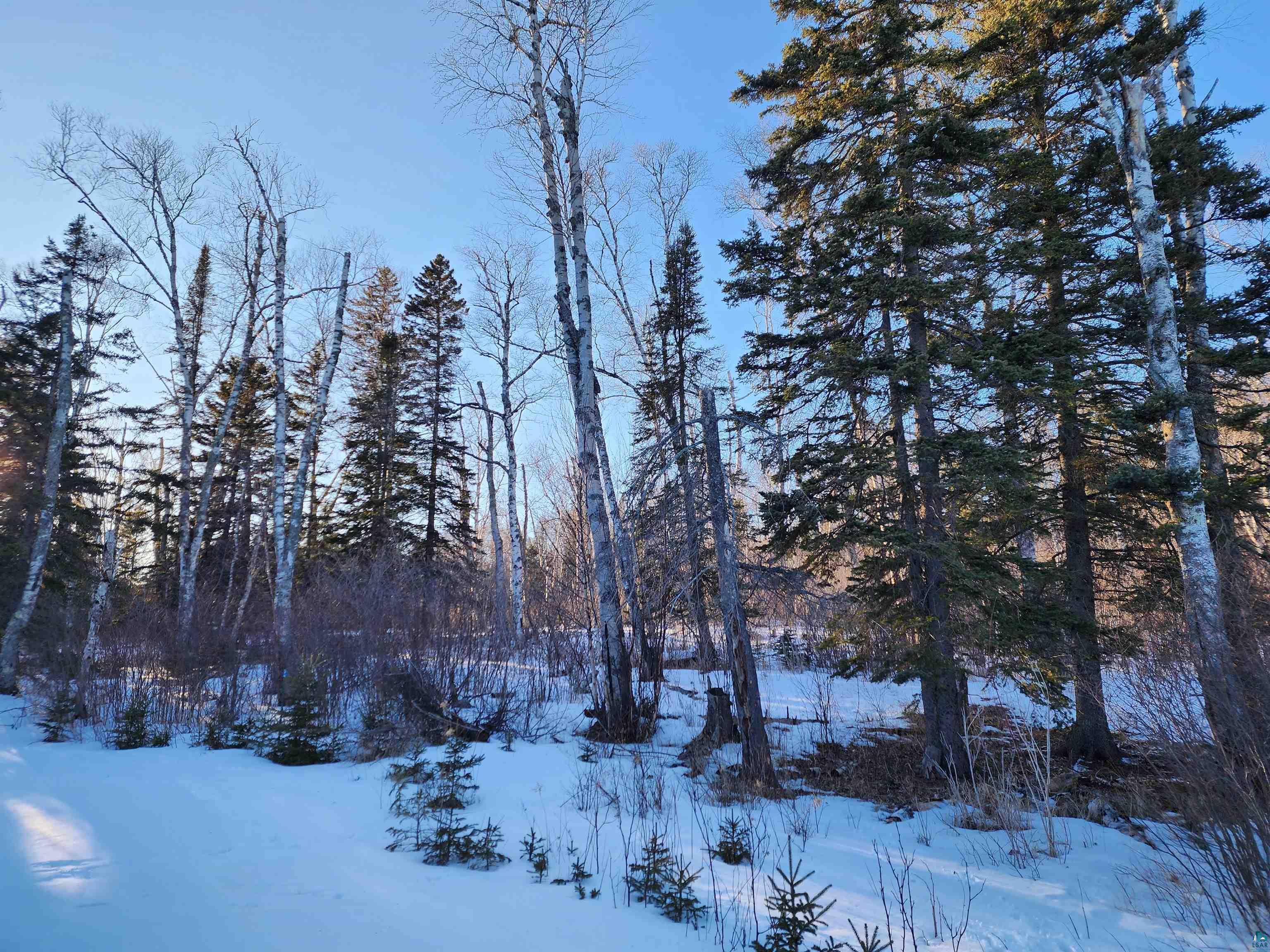 XX-2 Hoaglund Dr, Tofte, MN, 55615 | MLS: 6118070 | Edina Realty