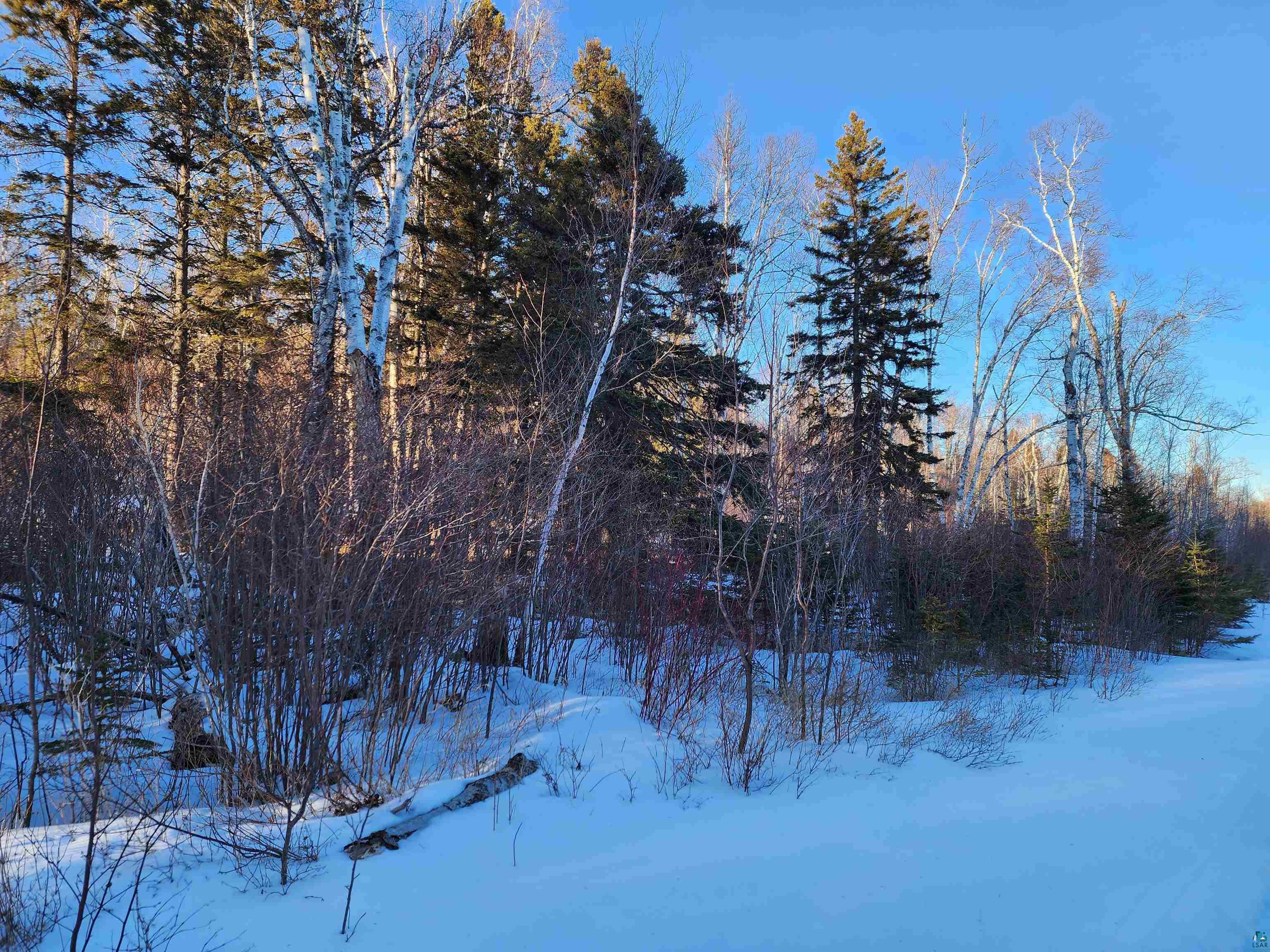 XX-2 Hoaglund Dr, Tofte, MN, 55615 | MLS: 6118070 | Edina Realty