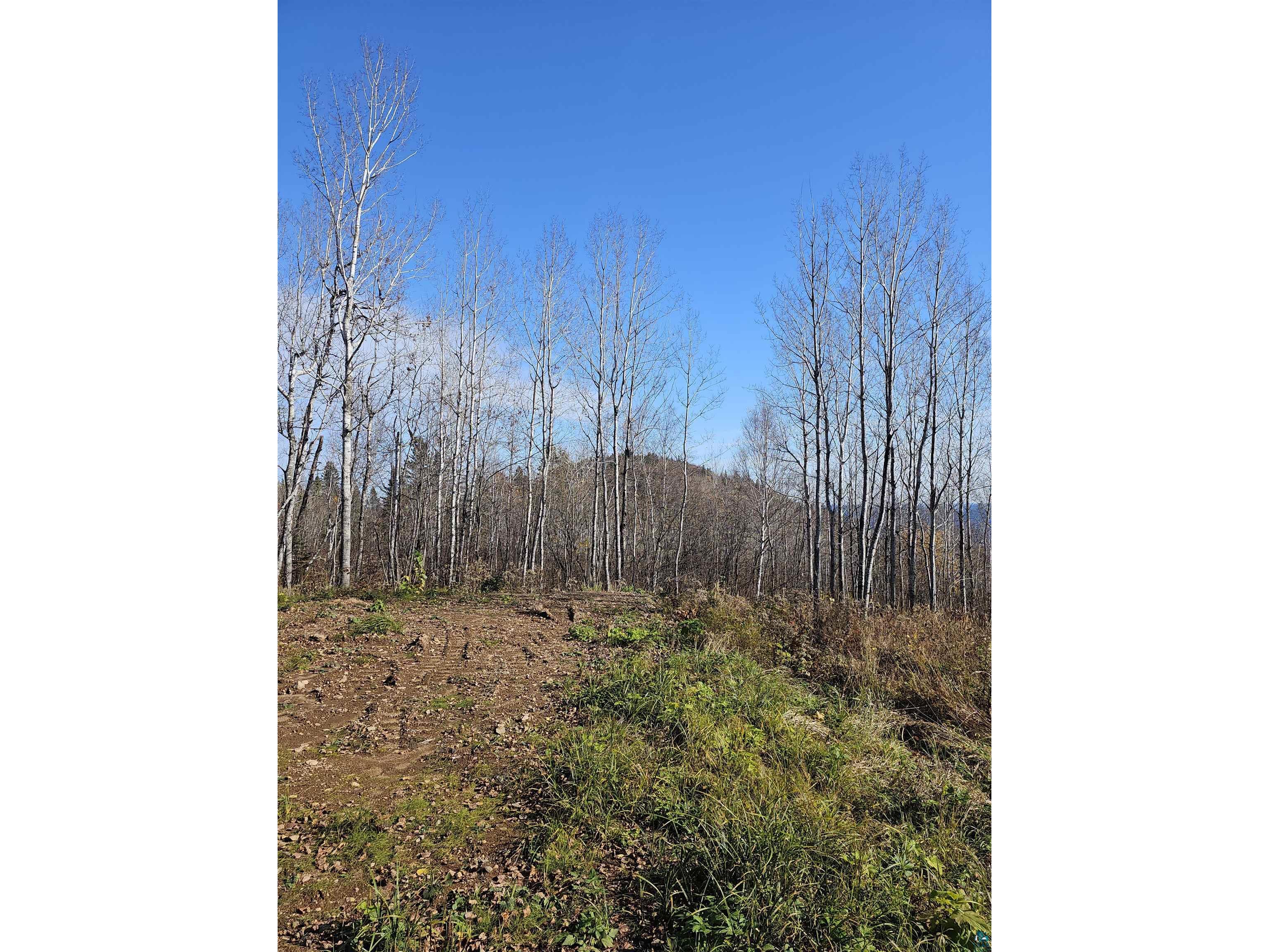 XX Highway 61, Silver Bay, MN, 55614 | MLS: 6114315 | Edina Realty