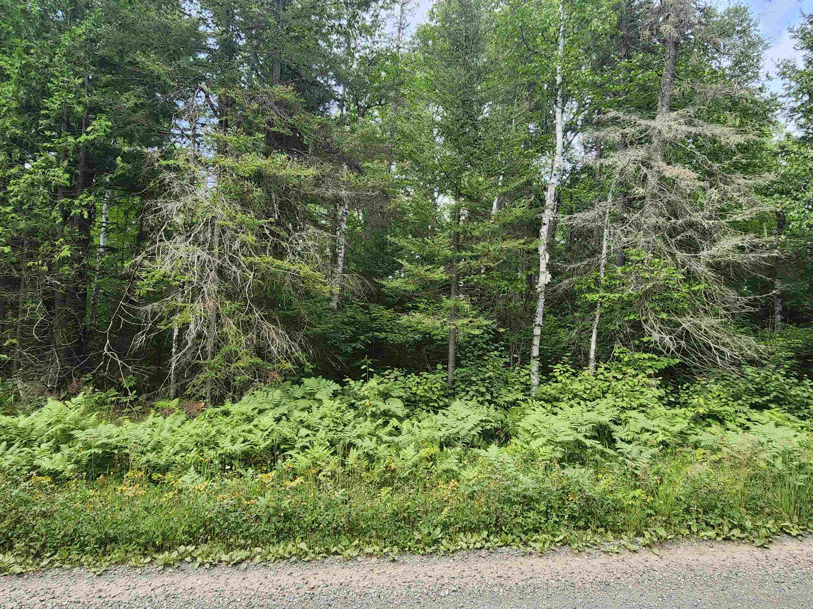 XXX Irish Creek Rd, Hovland, MN, 55606 | MLS: 6121256 | Edina Realty