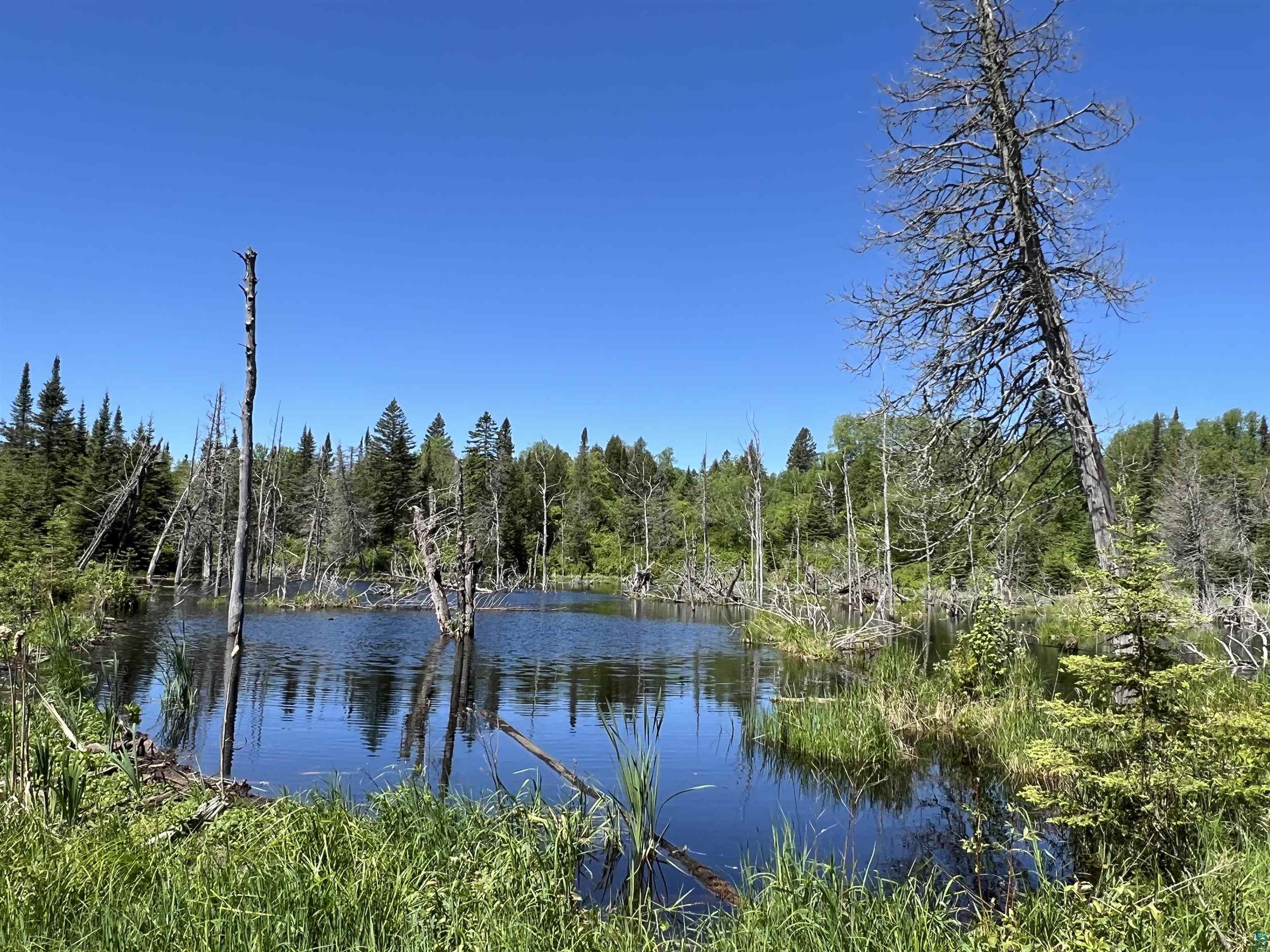 XXX1 Heffelfinger Tr, Finland, MN, 55614 | MLS: 6114420 | Edina Realty