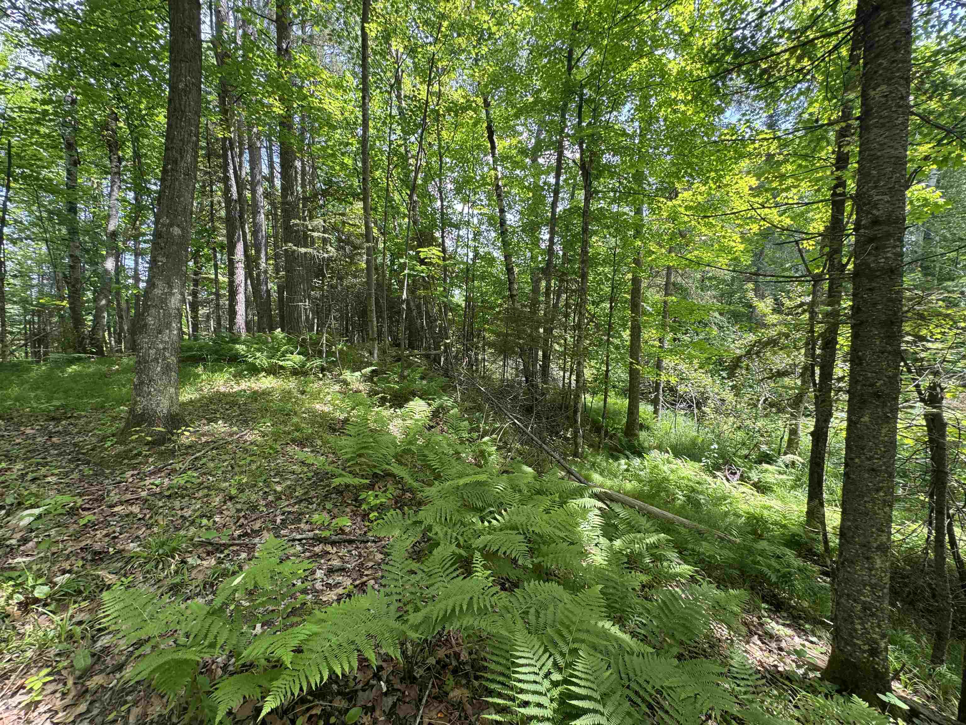 xxx Crystal Lake Rd, Barnum, MN, 55707 | MLS: 6120149 | Edina Realty