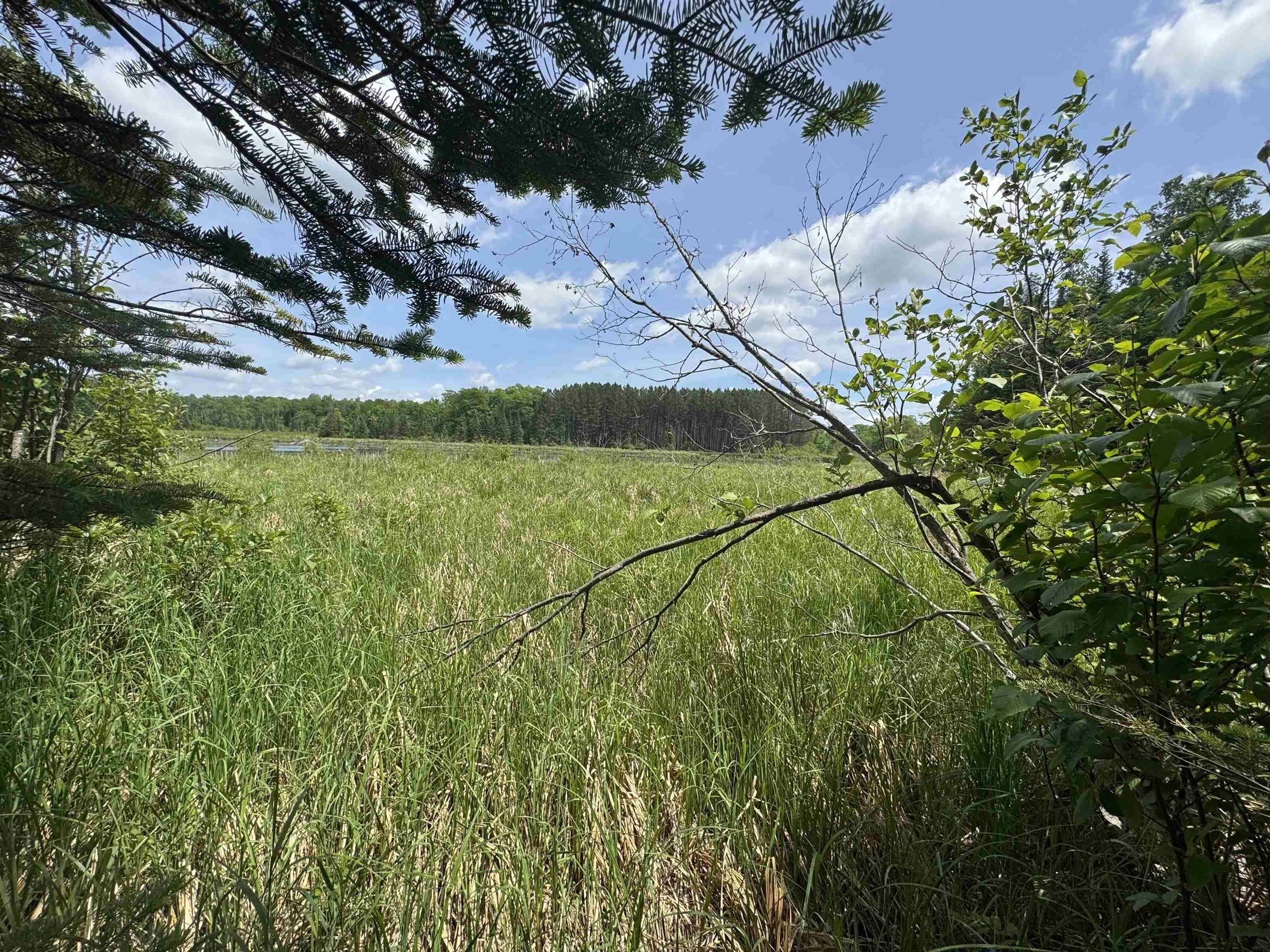 xxx Crystal Lake Rd, Barnum, MN, 55707 | MLS: 6120149 | Edina Realty