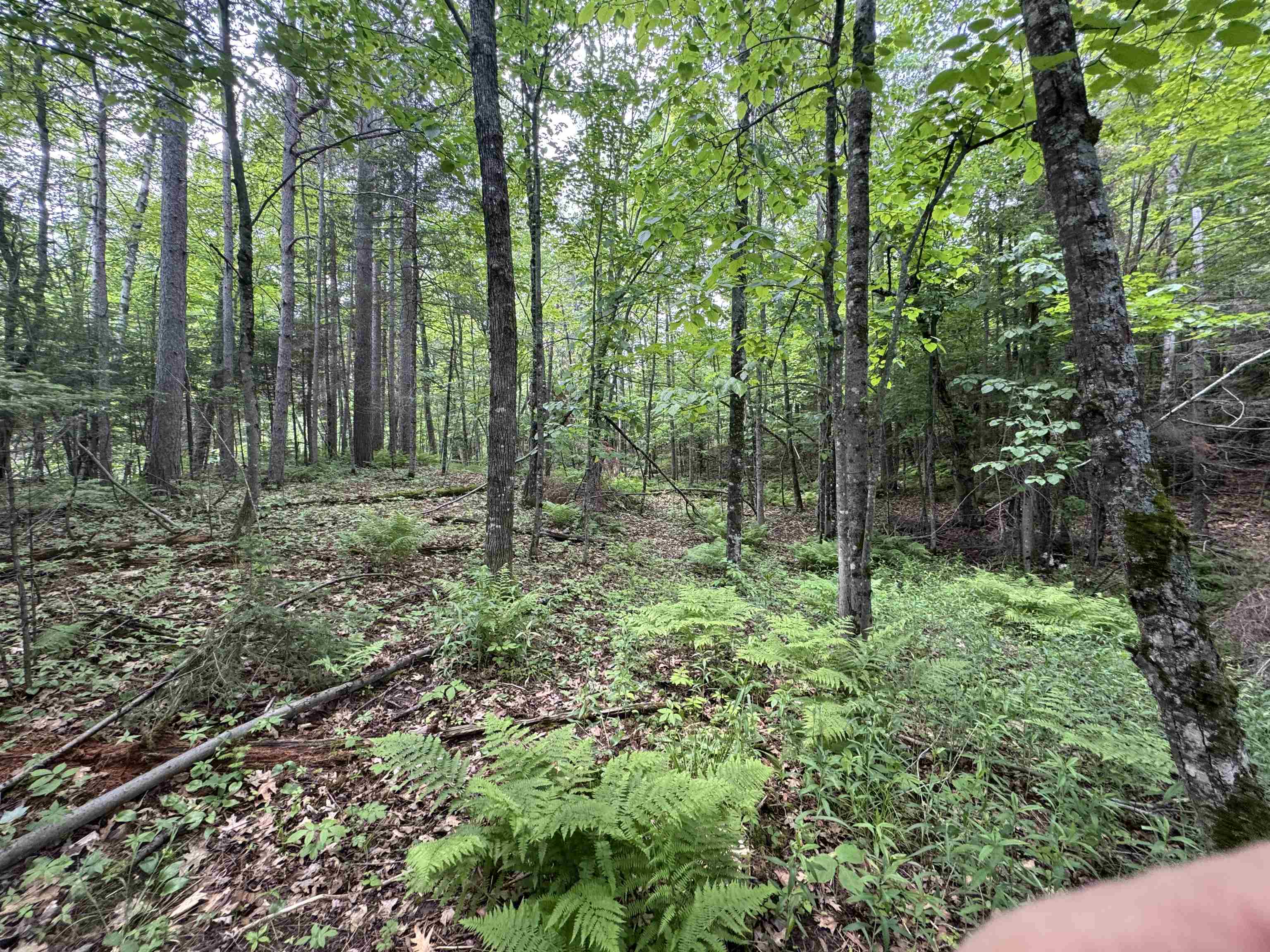 xxx Crystal Lake Rd, Barnum, MN, 55707 | MLS: 6120149 | Edina Realty