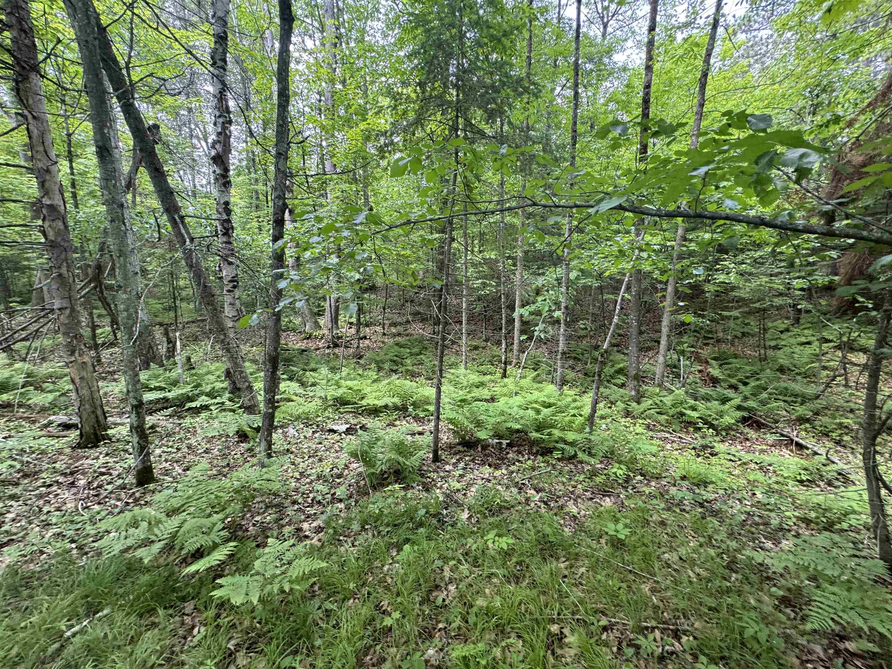 xxx Crystal Lake Rd, Barnum, MN, 55707 | MLS: 6120149 | Edina Realty