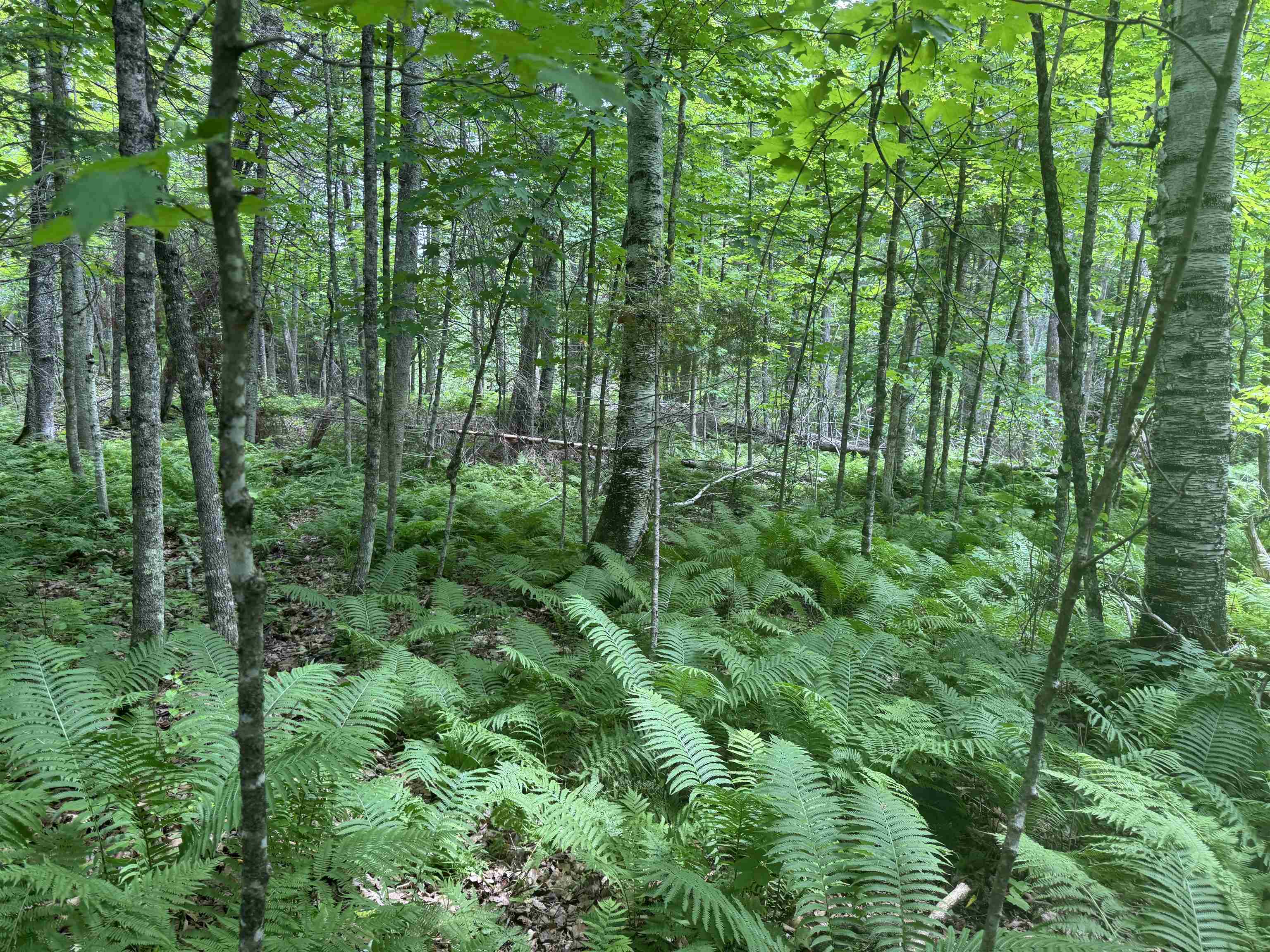 xxx Crystal Lake Rd, Barnum, MN, 55707 | MLS: 6120149 | Edina Realty