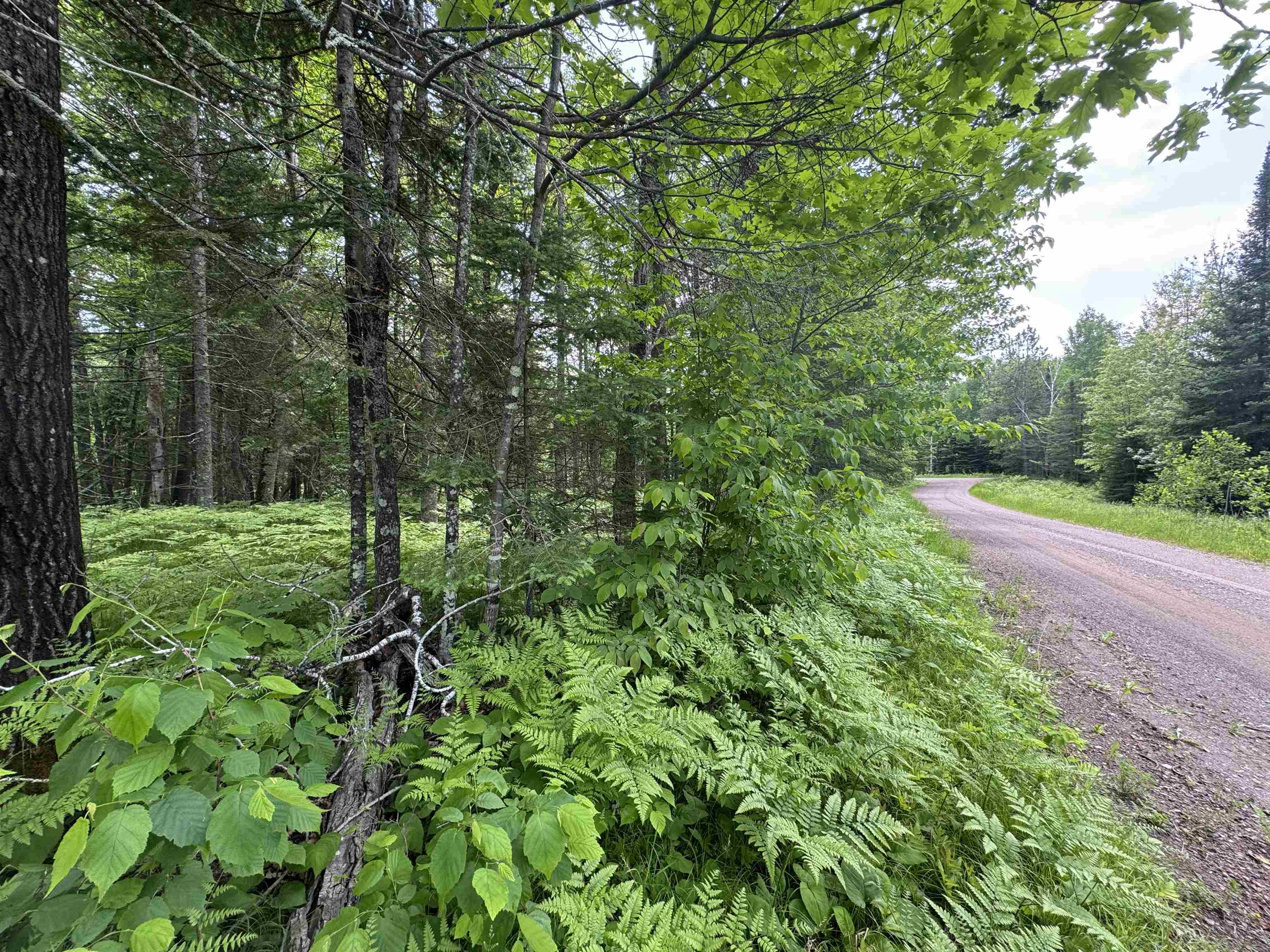 xxx Crystal Lake Rd, Barnum, MN, 55707 | MLS: 6120149 | Edina Realty