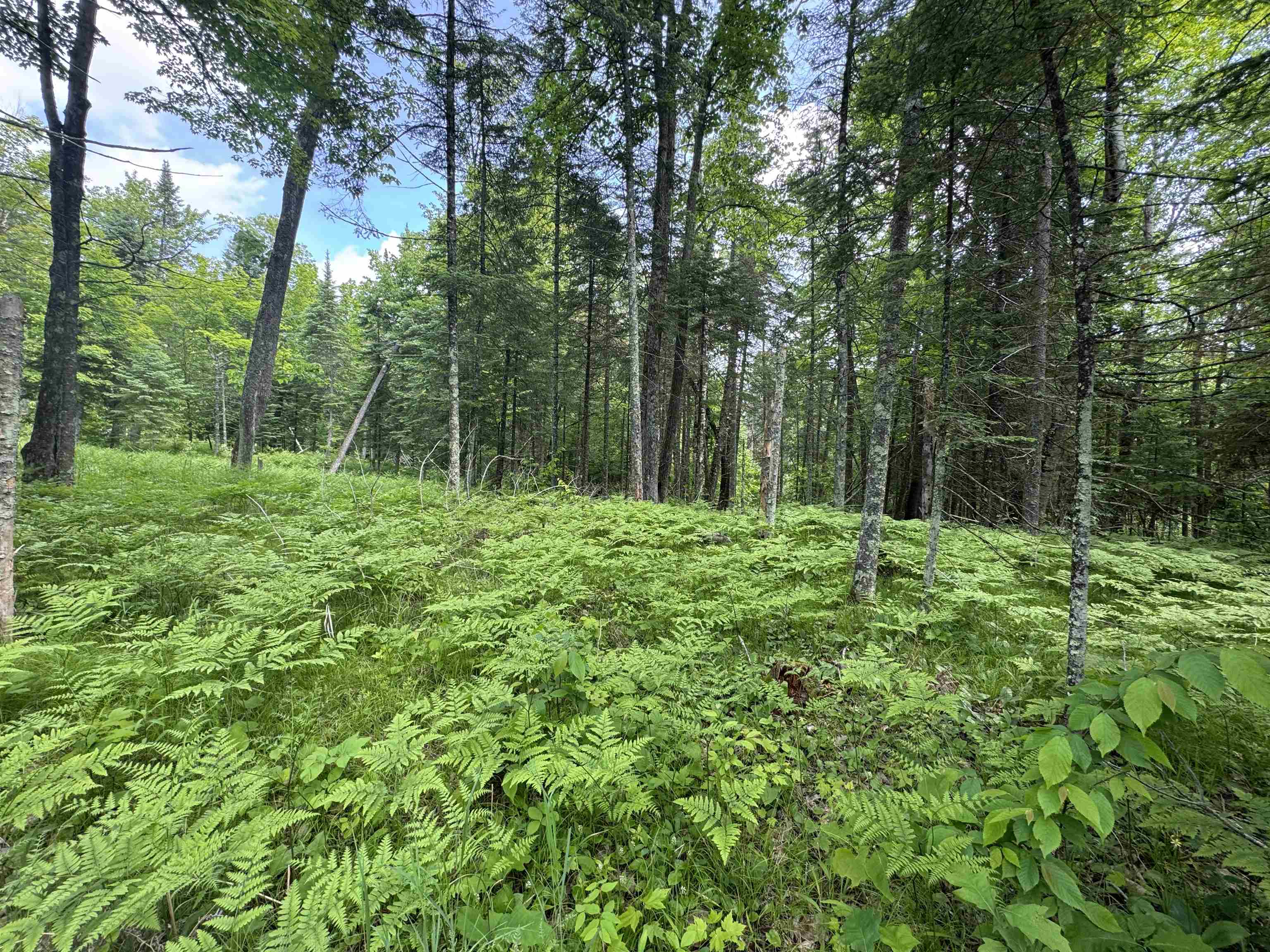 xxx Crystal Lake Rd, Barnum, MN, 55707 | MLS: 6120149 | Edina Realty