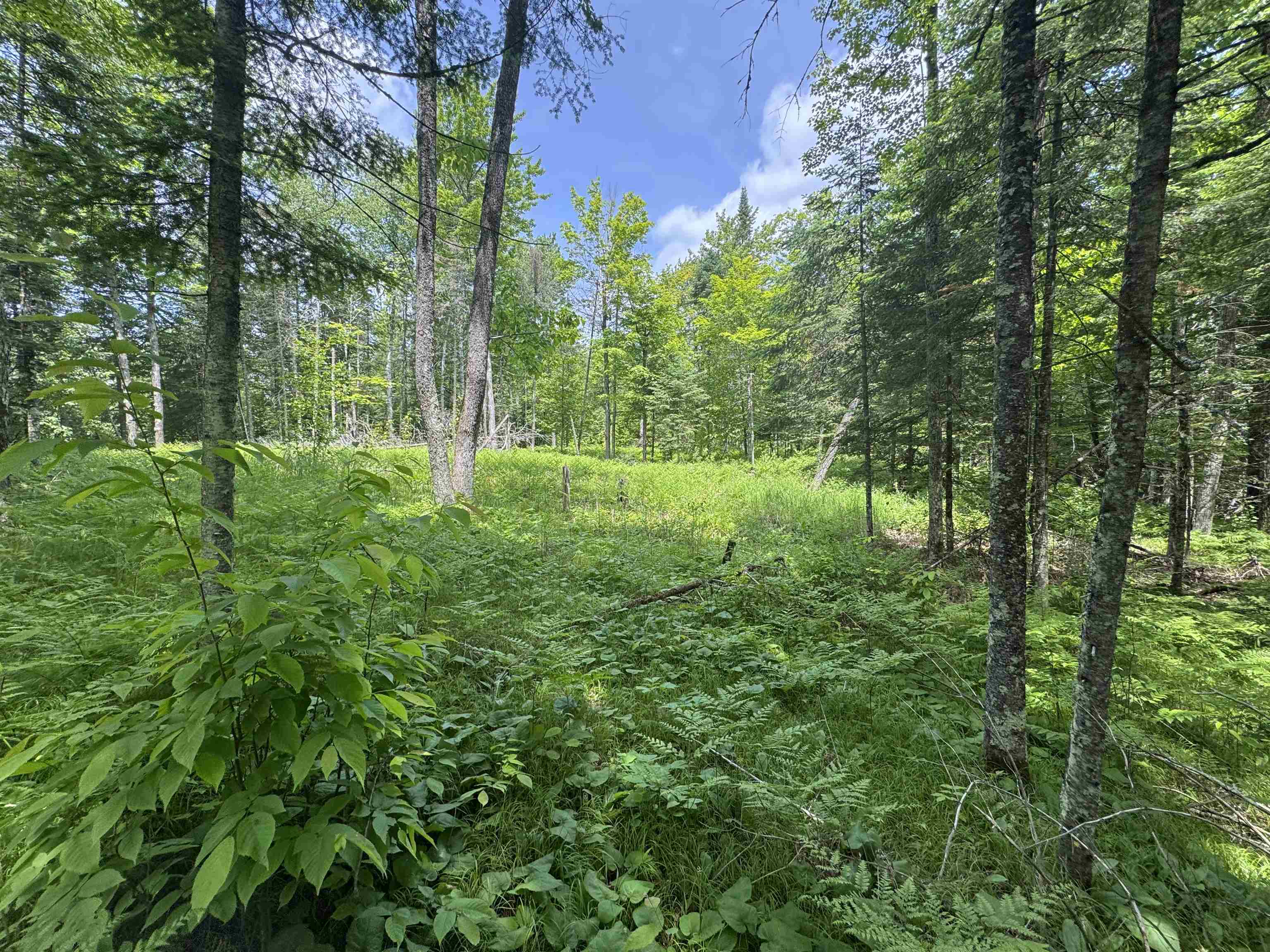 xxx Crystal Lake Rd, Barnum, MN, 55707 | MLS: 6120149 | Edina Realty