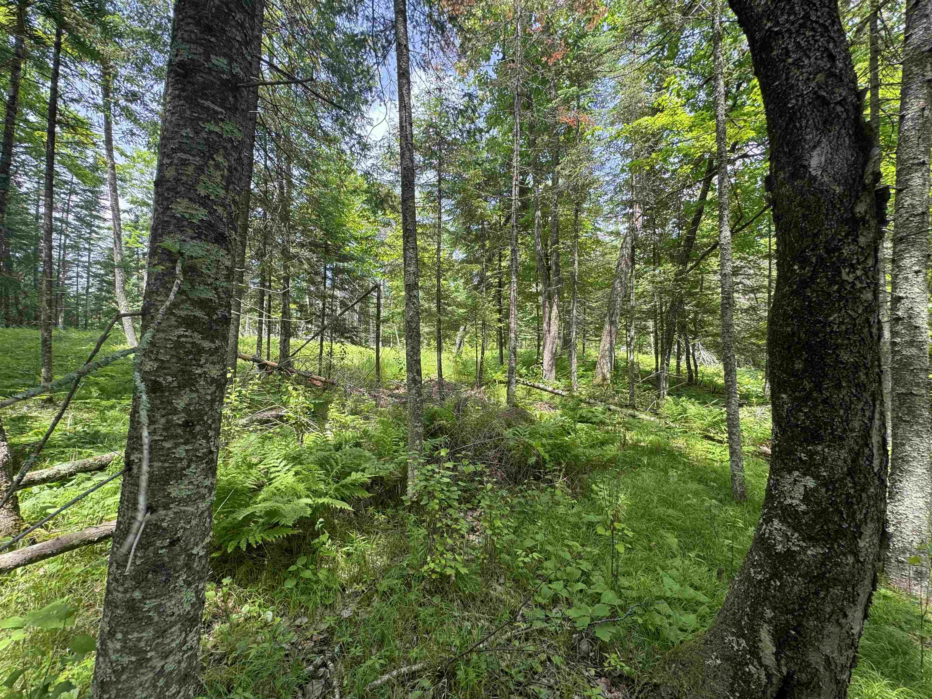 xxx Crystal Lake Rd, Barnum, MN, 55707 | MLS: 6120149 | Edina Realty