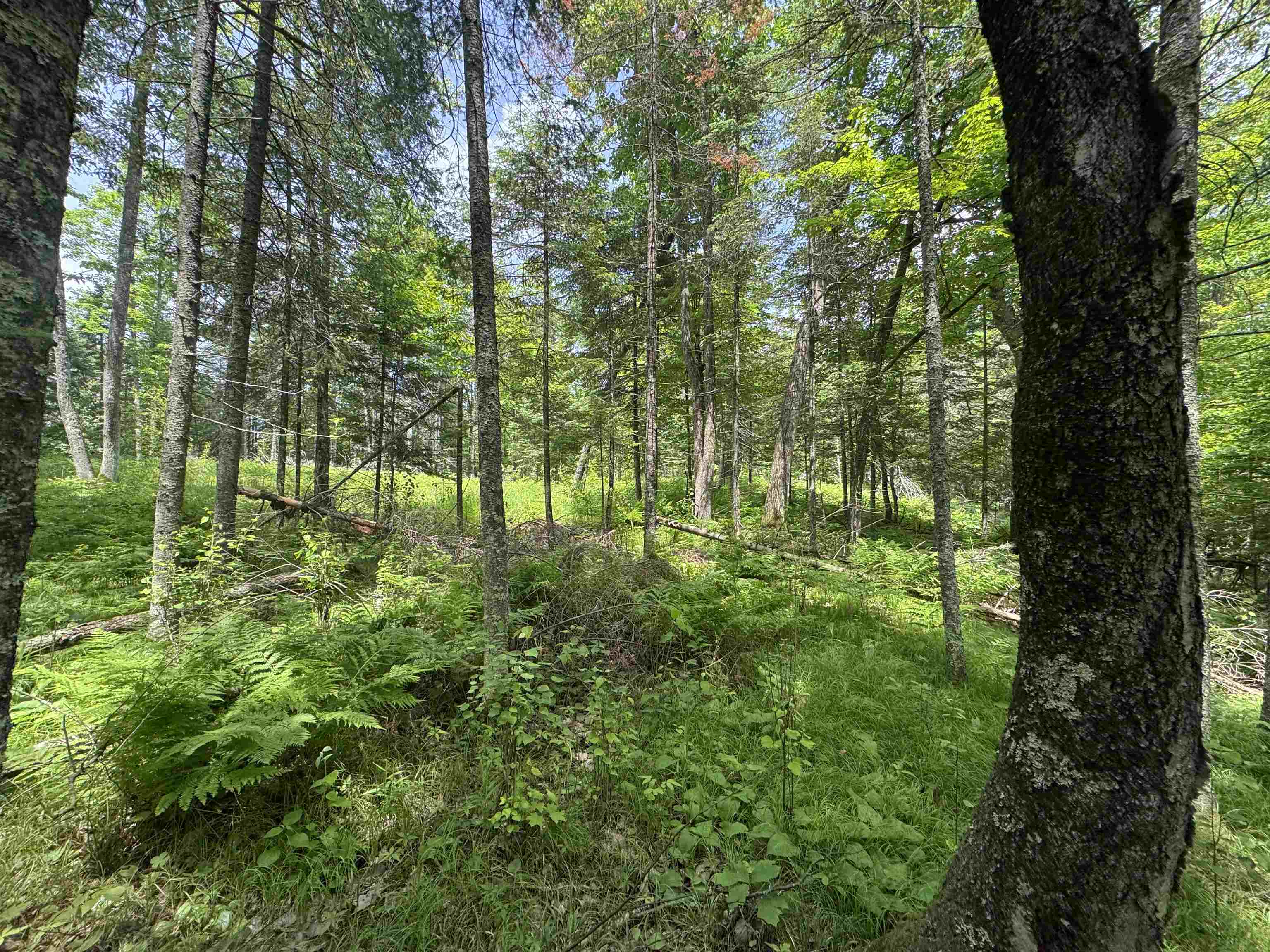 xxx Crystal Lake Rd, Barnum, MN, 55707 | MLS: 6120149 | Edina Realty