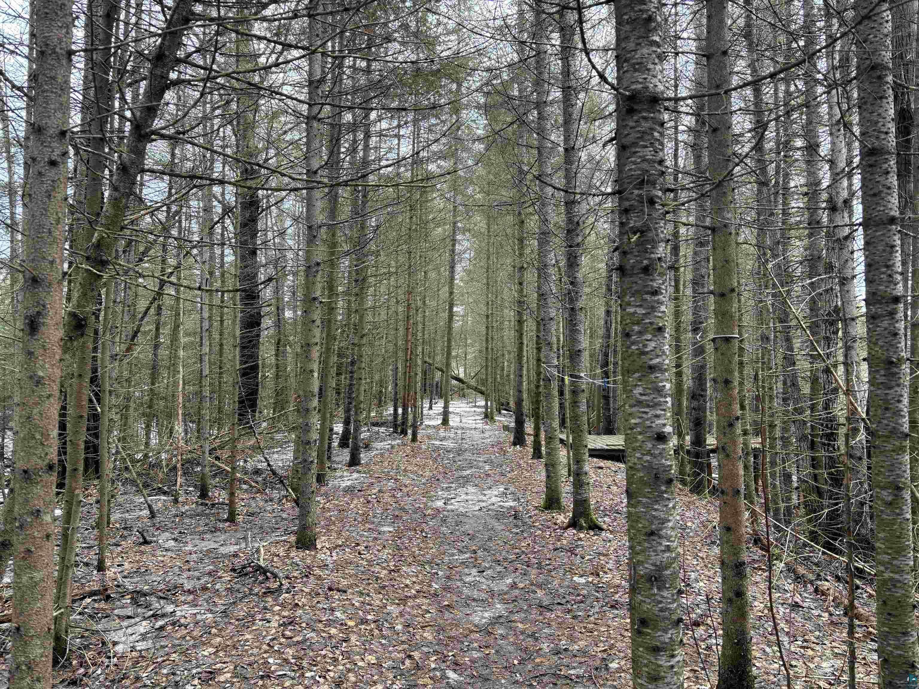xxx Stony River Forest Rd, Isabella, MN, 55607 | MLS: 6113056 | Edina ...
