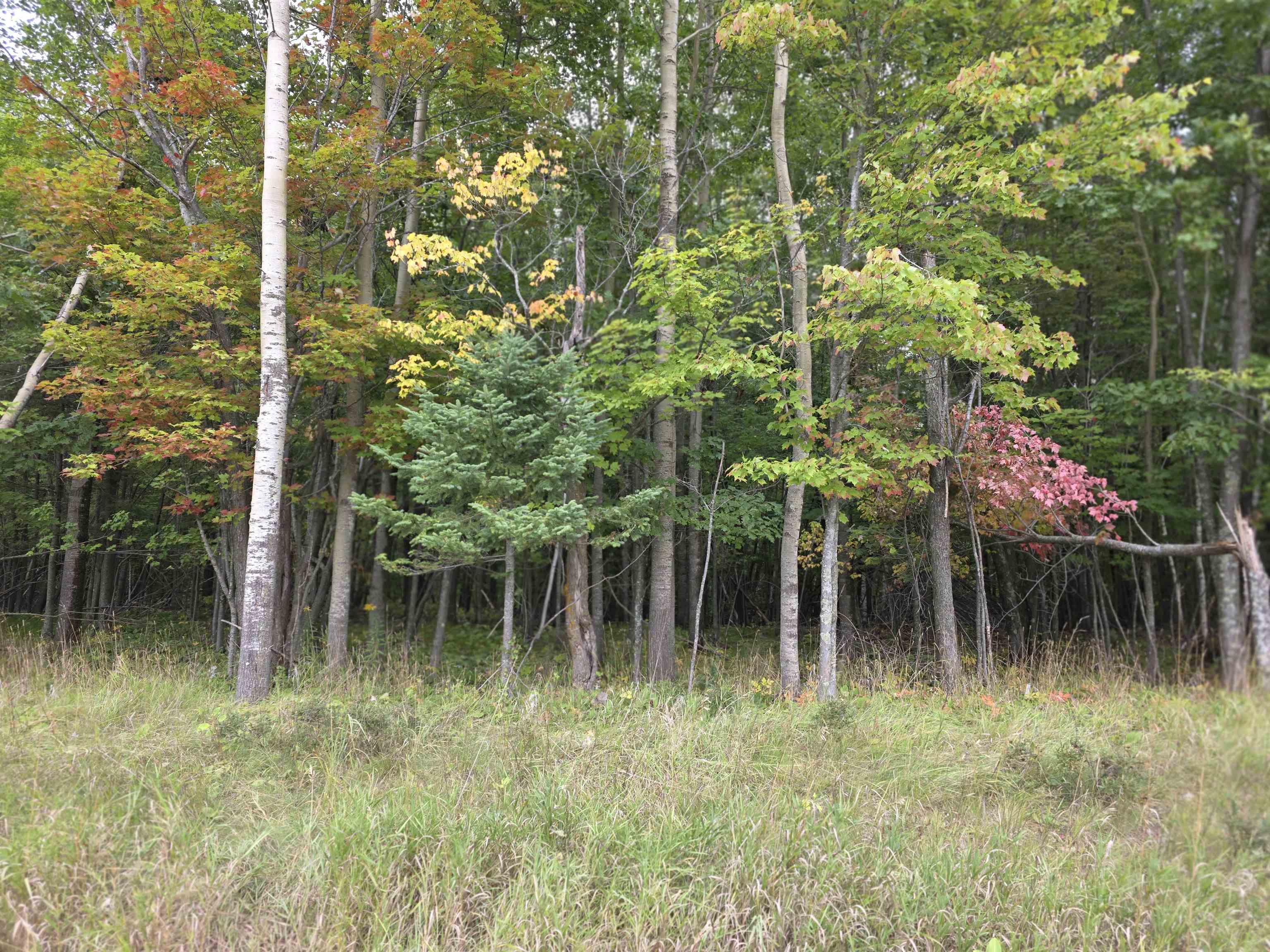 xxxx Pioneer Rd, Barnum, MN, 55707 | MLS: 6121878 | Edina Realty