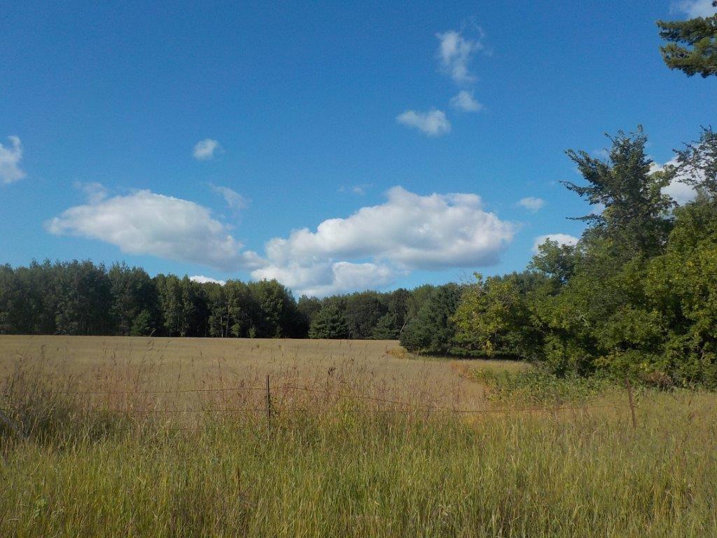 0 Gaslyn Road, Webster, WI, 54893 | MLS: 1568007 | Edina Realty