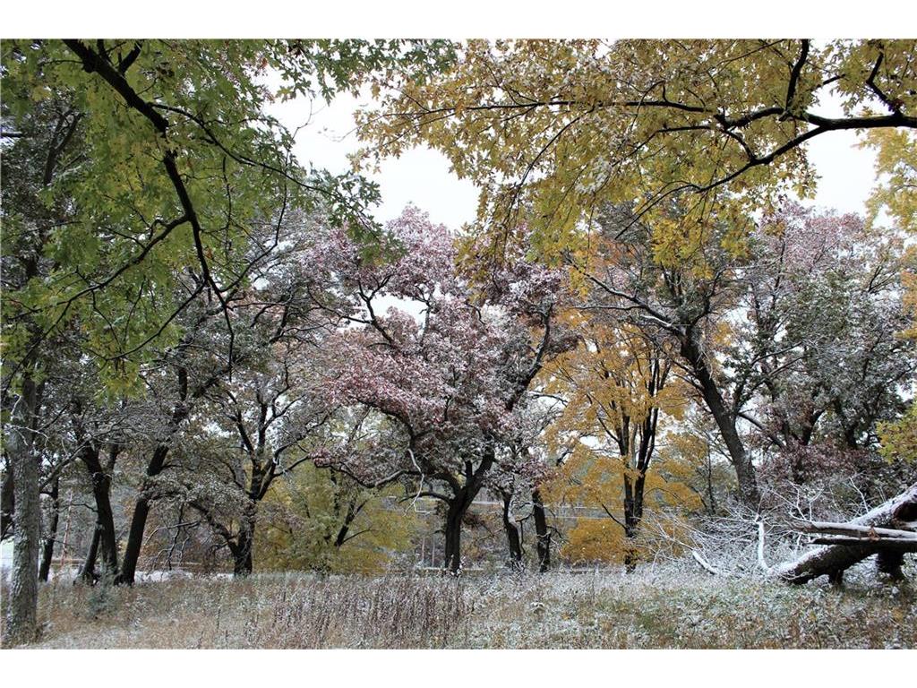 0 Hwy 37, Mondovi, WI, 54755 | MLS: 1569401 | Edina Realty