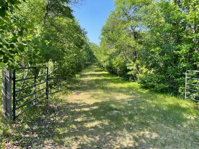 0 Kelly Lake Road, Barnes, WI, 54873 | MLS: 1574395 | Edina Realty