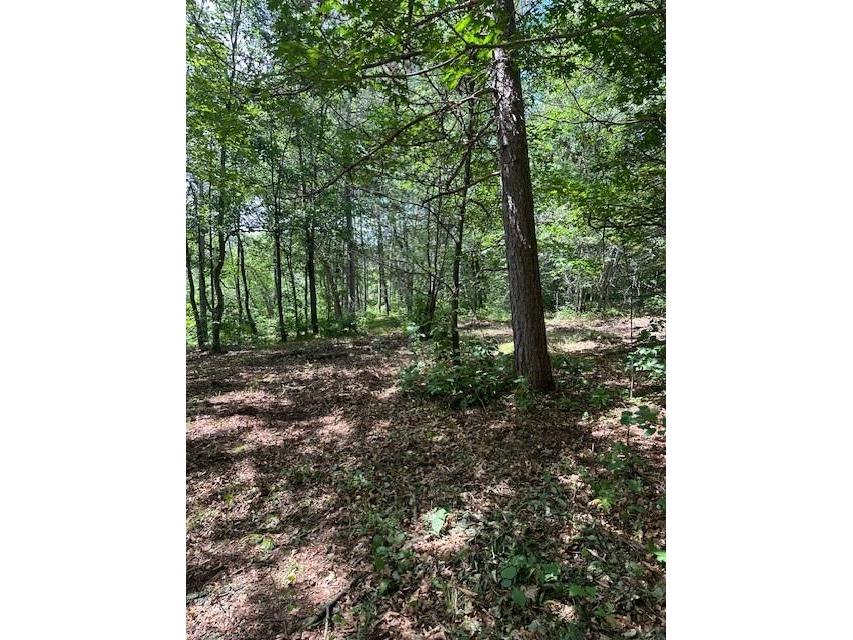 002 Little Bass Lake Road, Spooner, WI, 54801 | MLS: 1583465 | Edina Realty