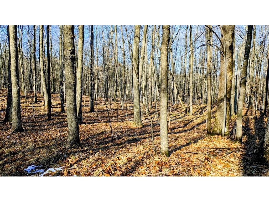 00 165th Avenue, Jim Falls, WI, 54748 | MLS: 7781786 | Edina Realty