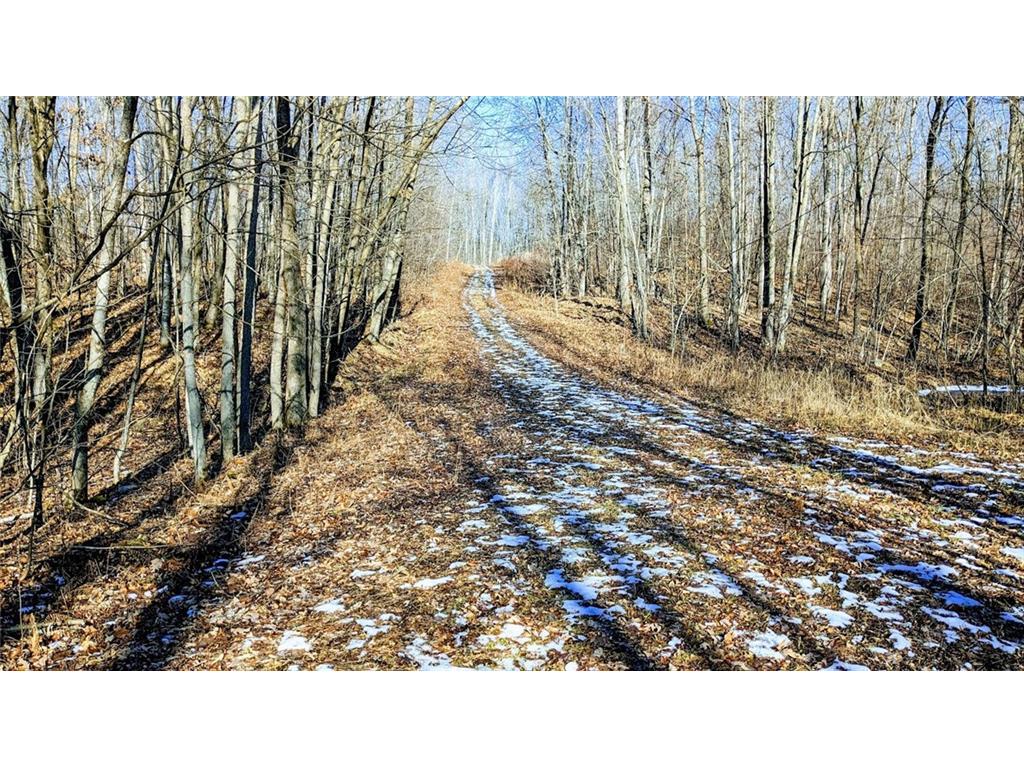 00 165th Avenue, Jim Falls, WI, 54748 | MLS: 7781786 | Edina Realty