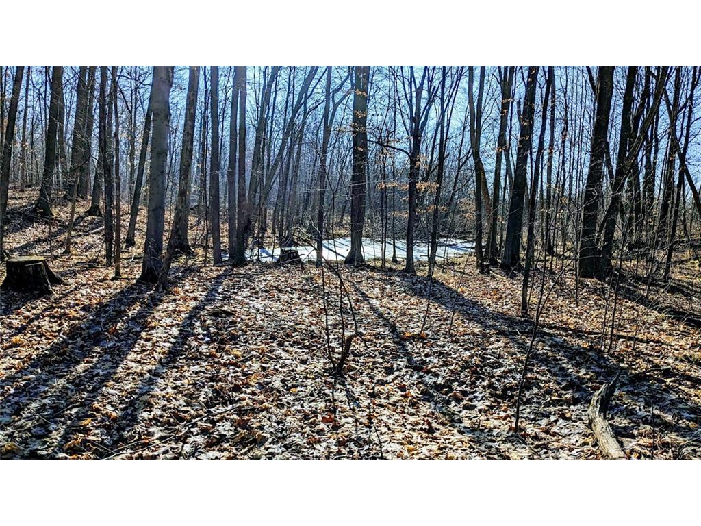 00 165th Avenue, Jim Falls, WI, 54748 | MLS: 7781786 | Edina Realty