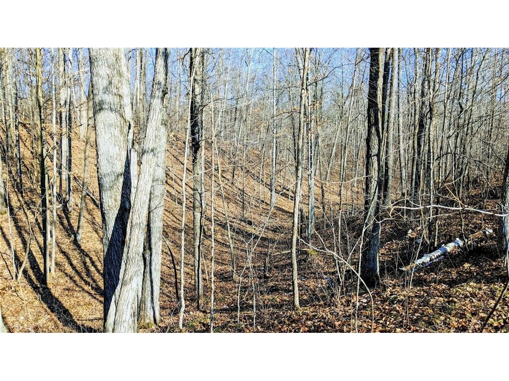 00 165th Avenue, Jim Falls, WI, 54748 | MLS: 7781786 | Edina Realty