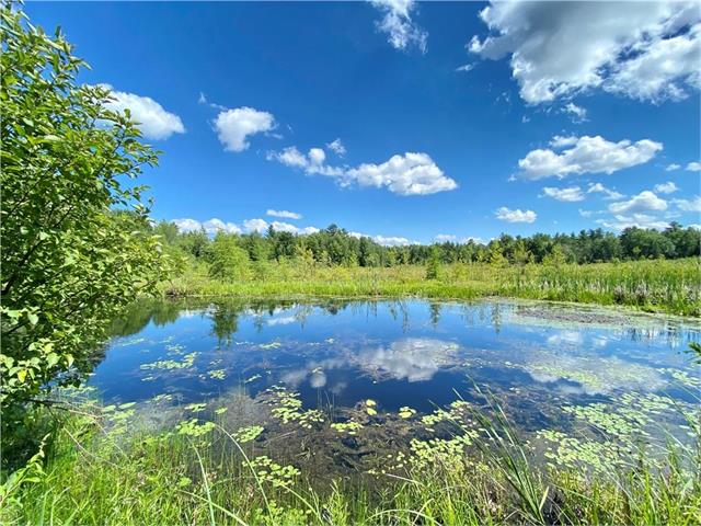 Hayward Lake Homes for Sale | Edina Realty