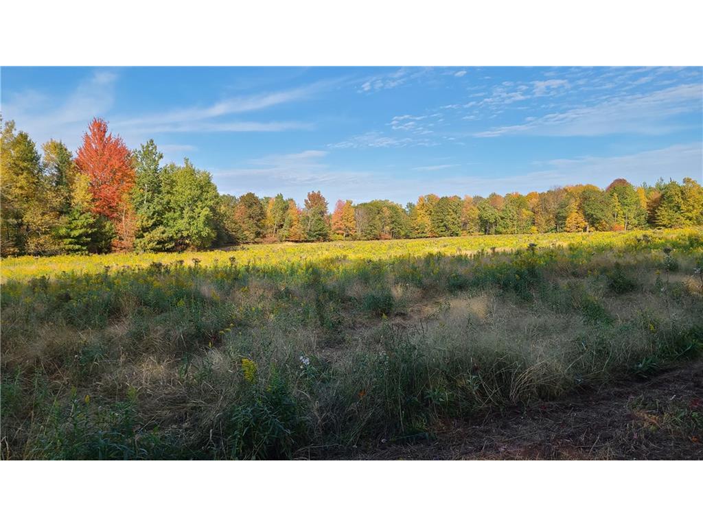 000 Sawdust Rd, Bruce, WI, 54819 | MLS: 1569254 | Edina Realty