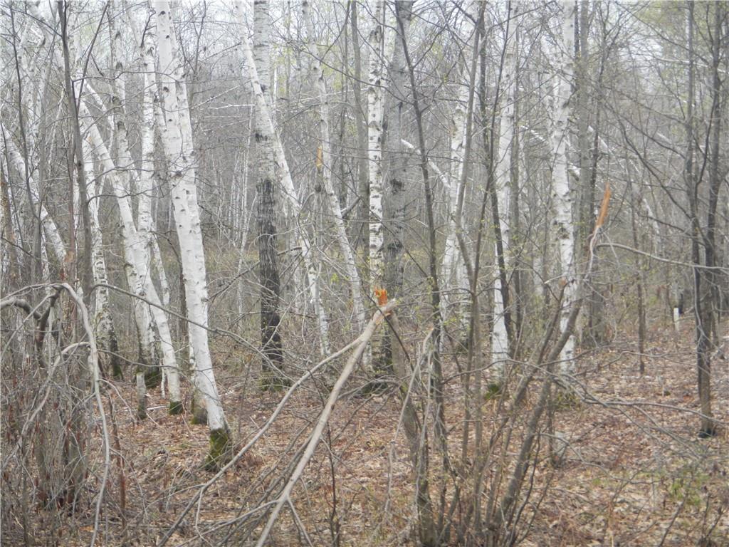 , Weirgor, WI, 54835 | MLS: 1574799 | Edina Realty