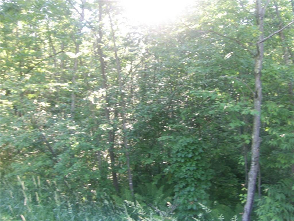 1.42 Acres Hwy 178, Jim Falls, WI, 54748 | MLS: 1568603 | Edina Realty