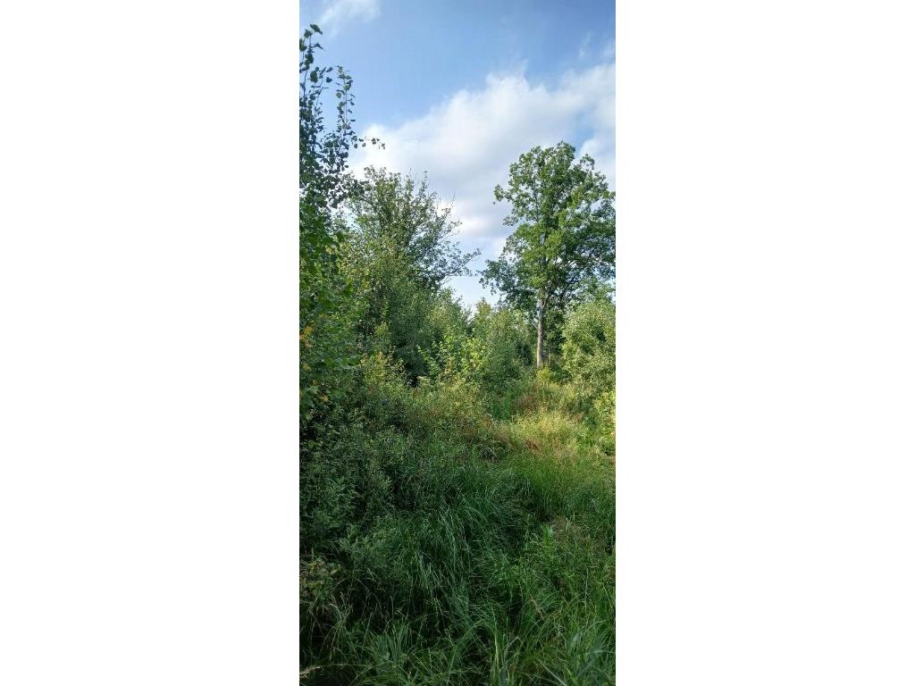 10 Ac River Rd., Boyd, WI, 54726 | MLS: 1594681 | Edina Realty