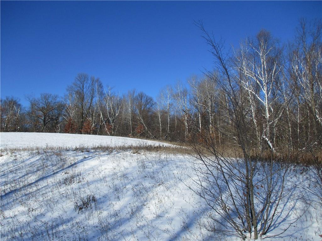 10943 Morning Dove Lane, Frederic, WI, 54837 | MLS: 1560538 | Edina Realty