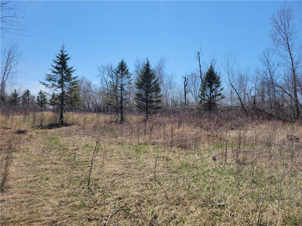 2017 1/2 Street, Comstock, WI, 54826 | MLS: 1569731 | Edina Realty