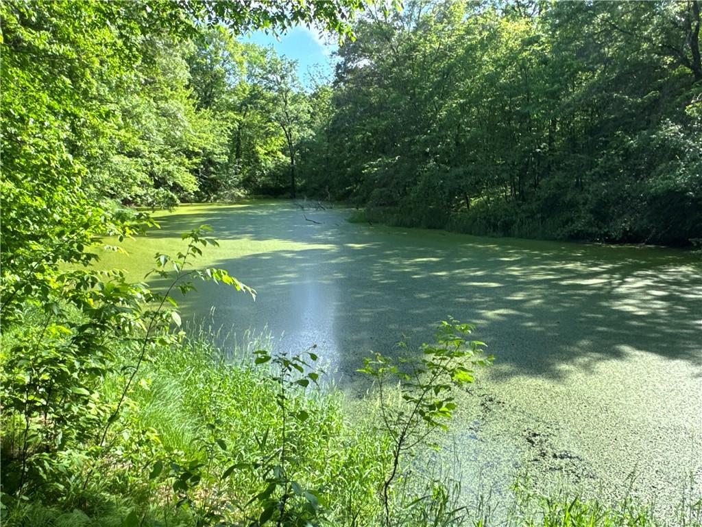 2261 Beede Lake Trail, Eureka, WI, 54024 | MLS: 1582721 | Edina Realty