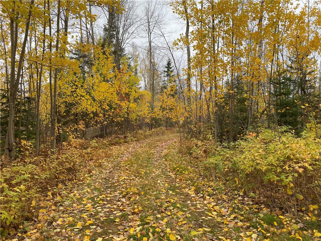 2950 E Tower Fire Lane, Summit, WI, 54836 | MLS: 1569770 | Edina Realty