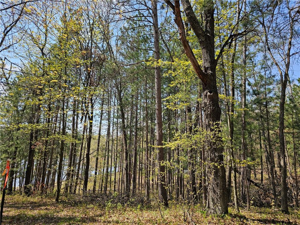 30203 Brown Road, Danbury, WI, 54830 | MLS: 1580734 | Edina Realty