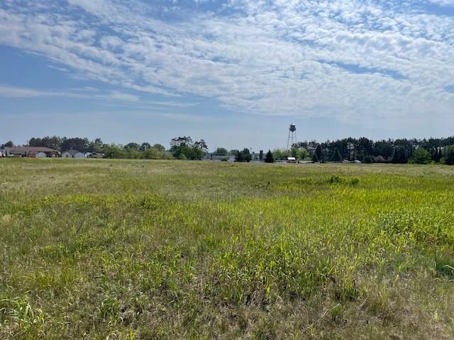 4.58 Acres Donnellan Street, Hayward, WI, 54843 | MLS: 1571259 | Edina ...