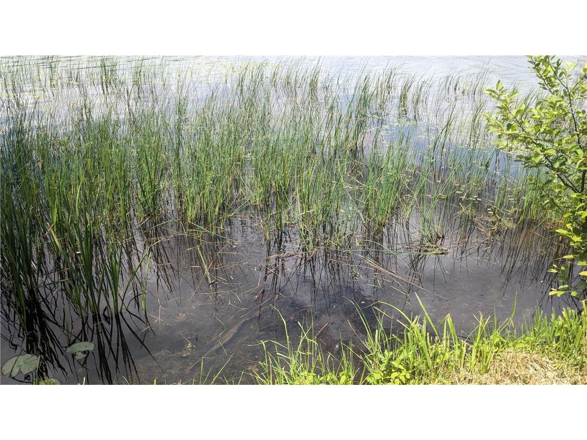 4735 N Lake Winter Road, Winter, WI, 54896 | MLS: 1592702 | Edina Realty