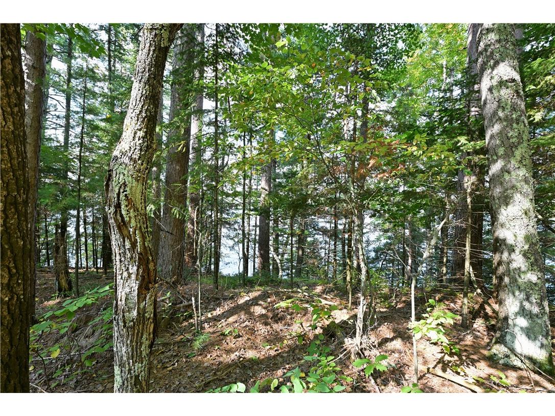 5160 W State Highway 77, Clam Lake, WI, 54517 | MLS: 1595631 | Edina Realty