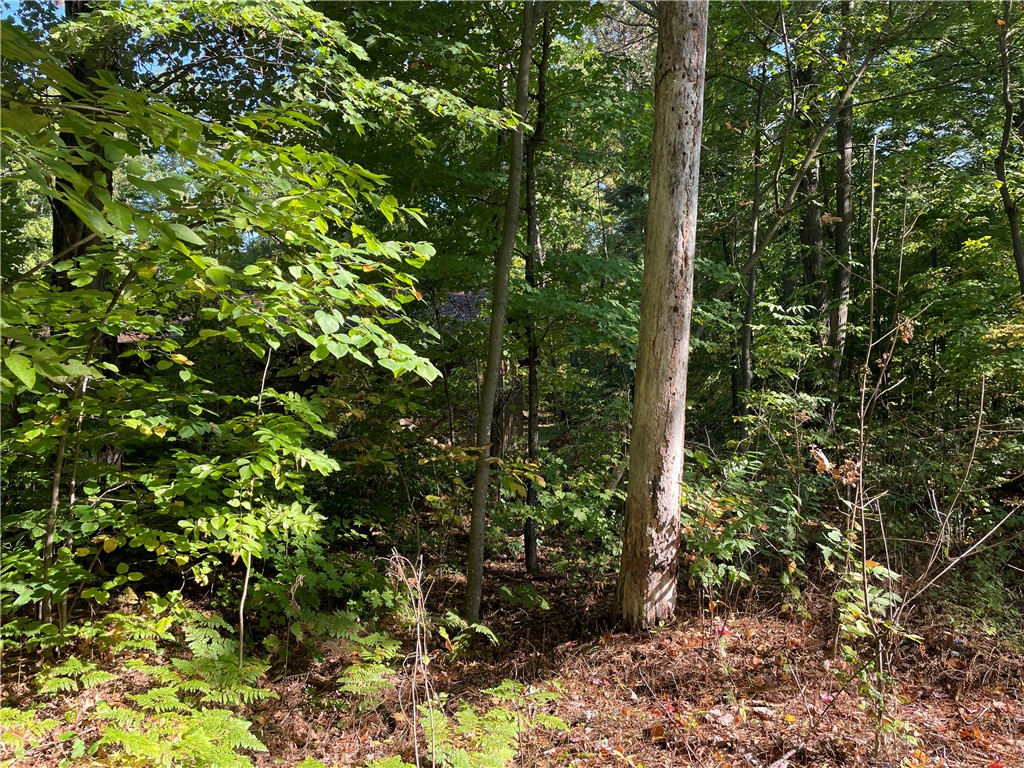 6073 N Elsie Road, Stone Lake, WI, 54876 | MLS: 1595825 | Edina Realty