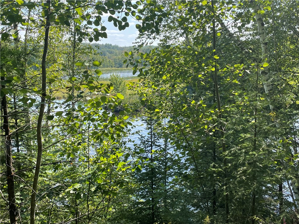 6647W Golf Course Road, Winter, WI, 54896 | MLS: 1591641 | Edina Realty