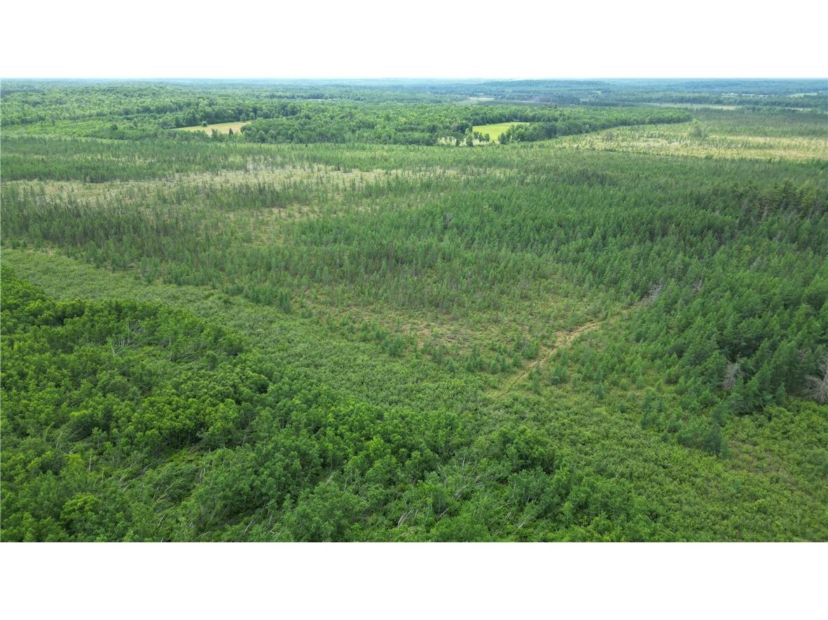 80 Acres Off Of Hwy 40, Radisson, WI, 54867 | MLS: 1592914 | Edina Realty