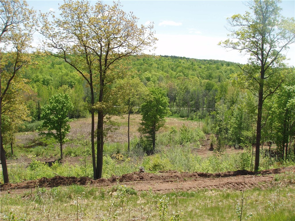 Lot 1 On Highway 169, Mellen, WI, 54546 | MLS: 1592128 | Edina Realty