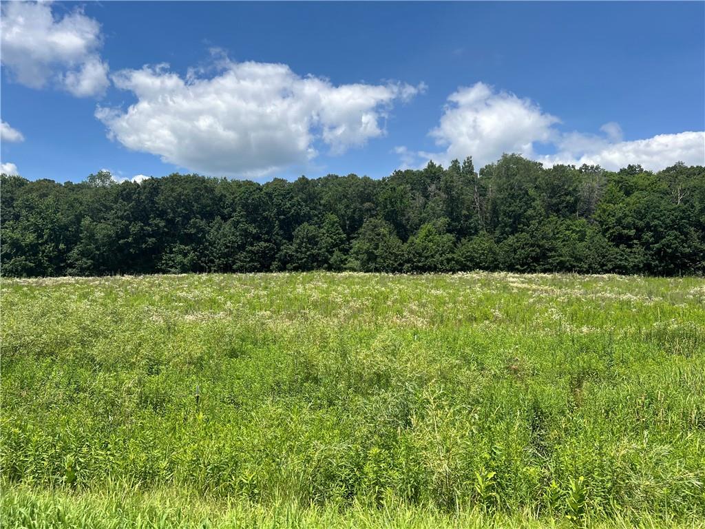 Lot 18 Hwy Hh Highway, Eleva, WI, 54701 | MLS: 1584076 | Edina Realty