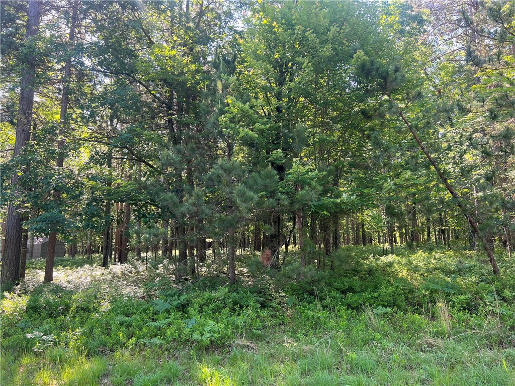 Lot 30 Great Bear Passage, Danbury, WI, 54830 | MLS: 1592844 | Edina Realty